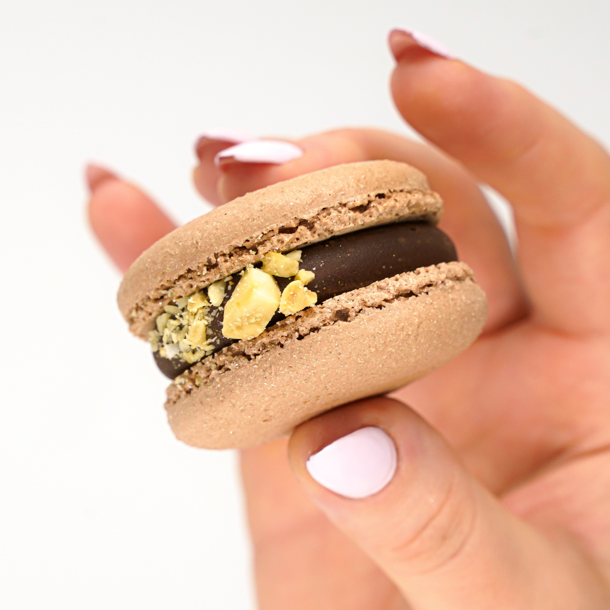 Single-Flavor Macaron Boxes – LE DELICE